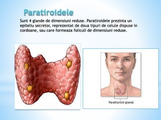 Glandele endocrine.pptx