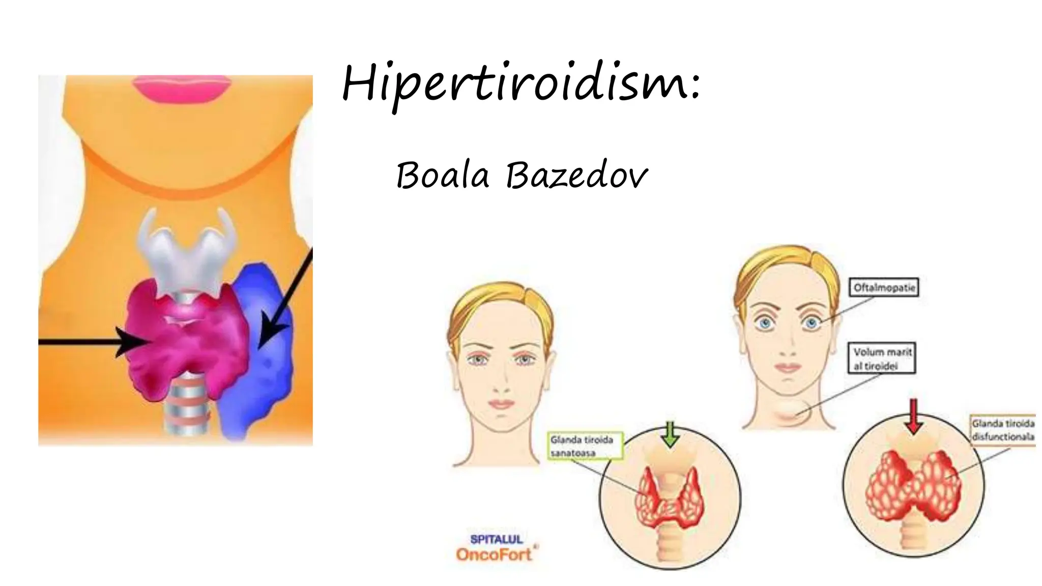 glandele_endocrine_si_hormonii.pptx