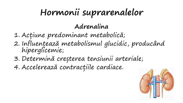 glandele_endocrine_si_hormonii.pptx