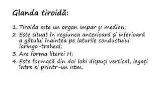 glandele_endocrine_si_hormonii.pptx