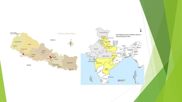 Glander orientation program | PPTX