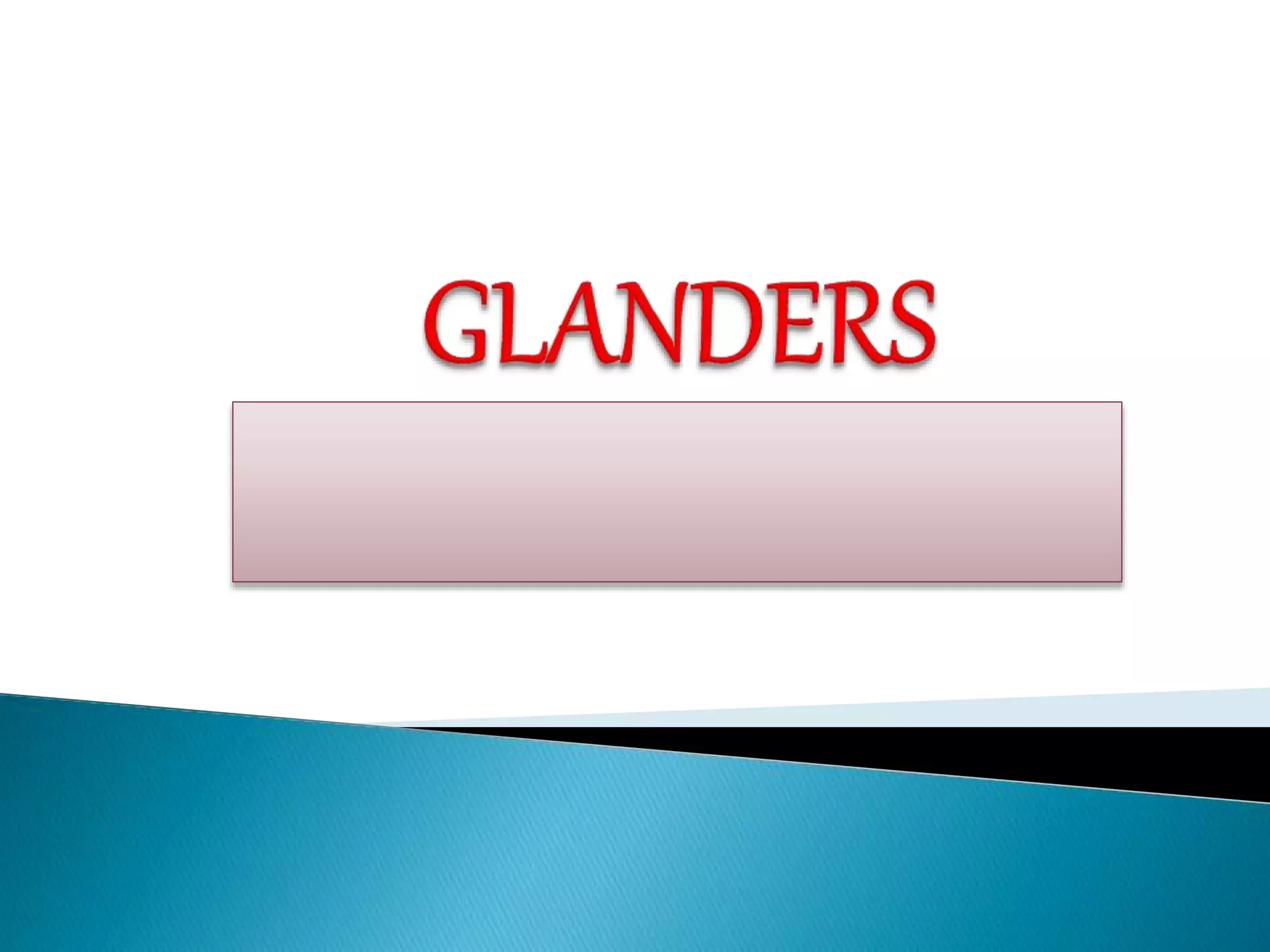المحاظرة الرابعة / معدية / دكتور اسعد /Glanders | PPT
