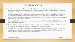 Glanders | PPTX
