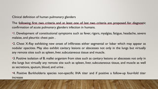 Bacterial disease horse duseaseGlanders.ppt