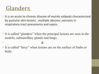 CHEMO-IMMUNOTHERAPY FOR GLANDERS | PPT | Infectious Diseases | Diseases ...