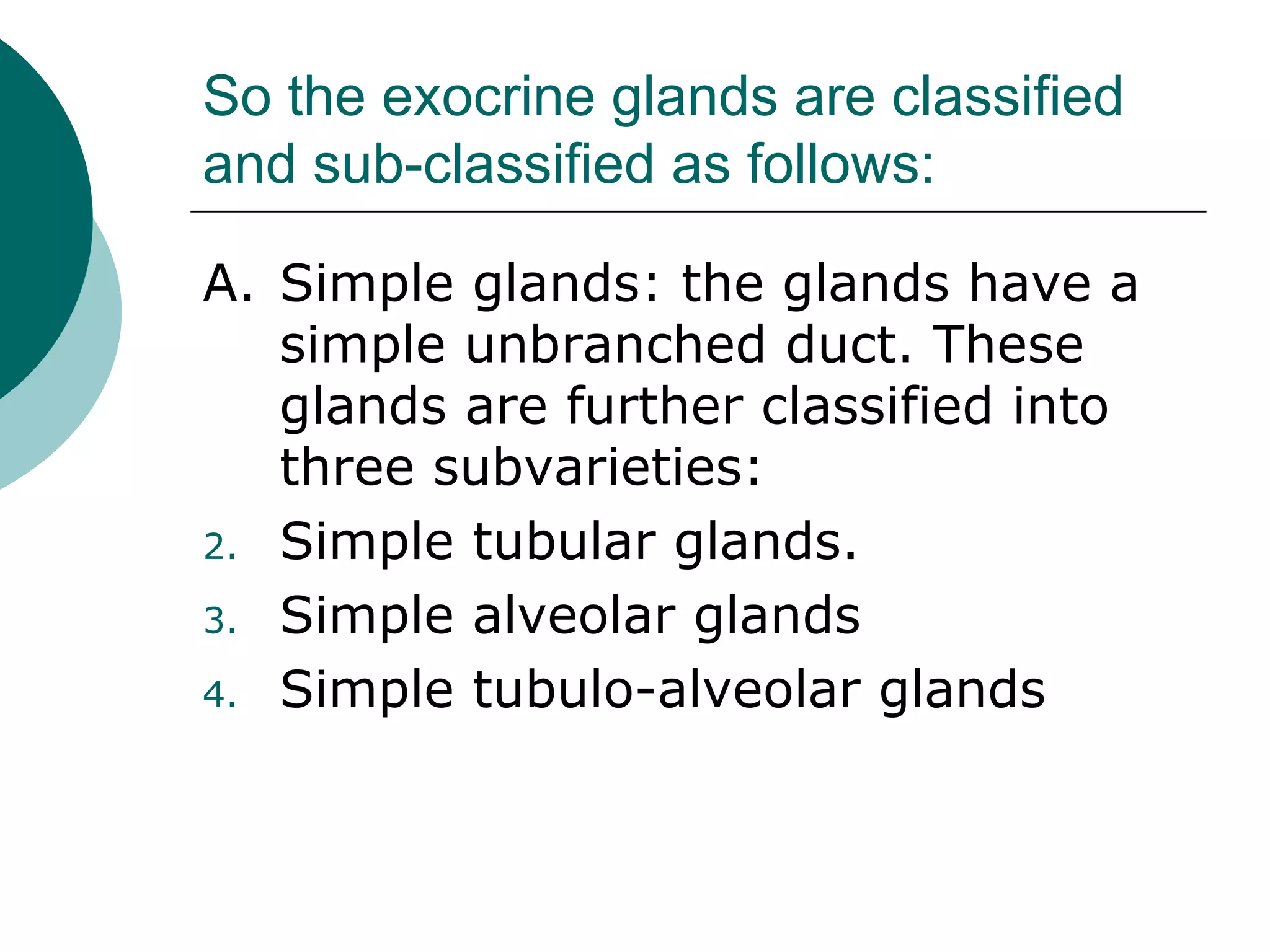 Glands | PPT