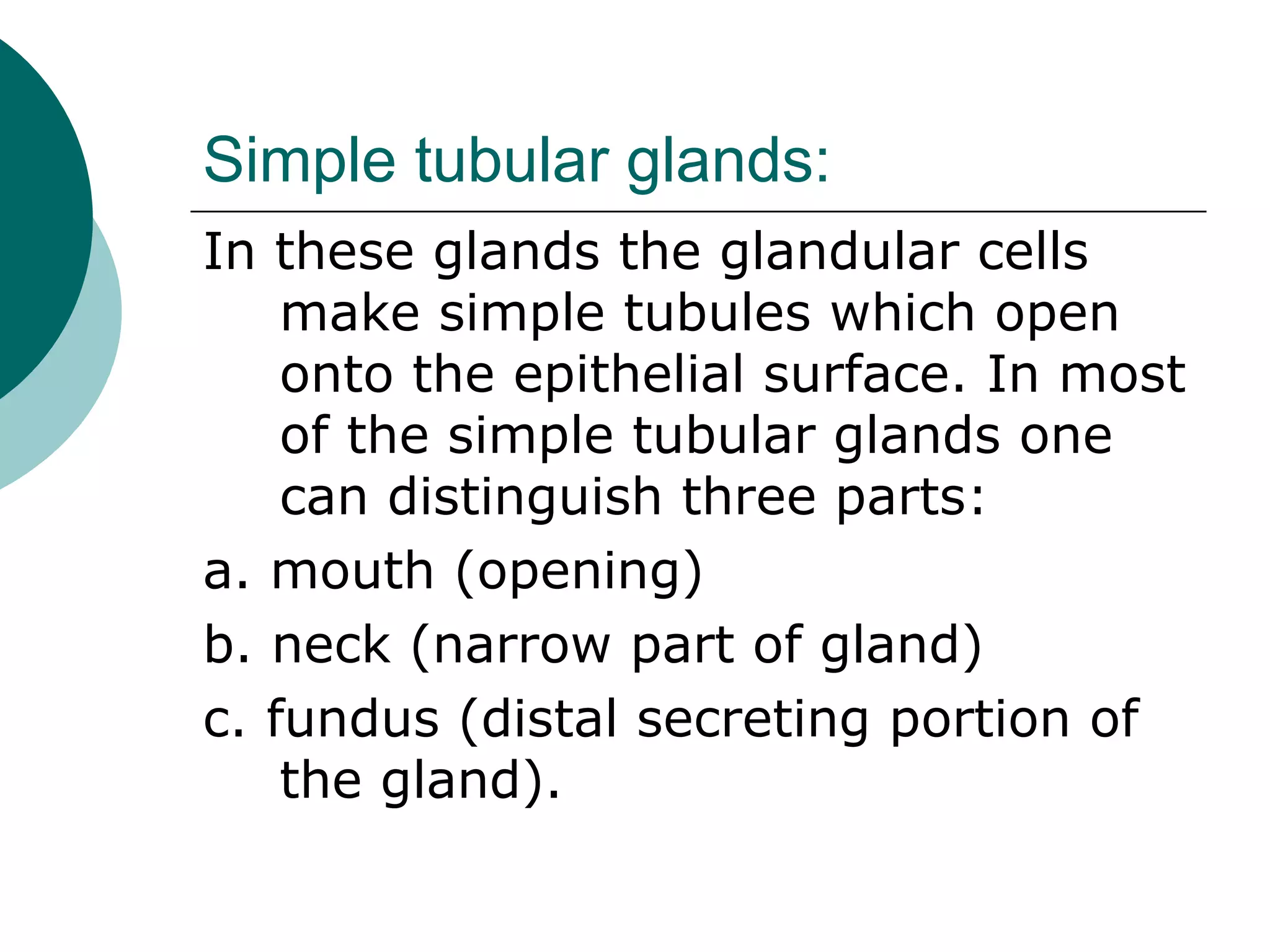 Glands | PPT