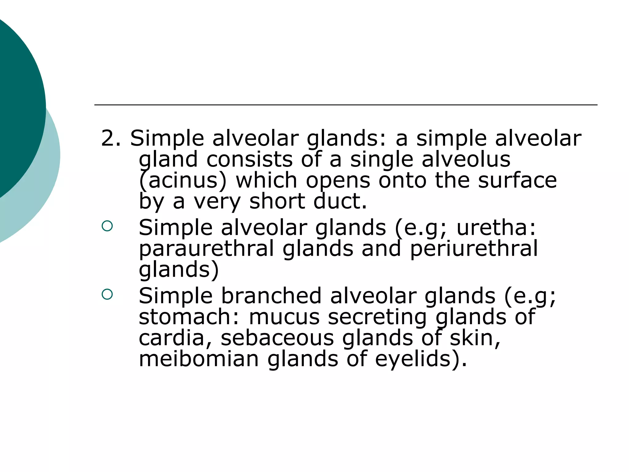 Glands | PPT
