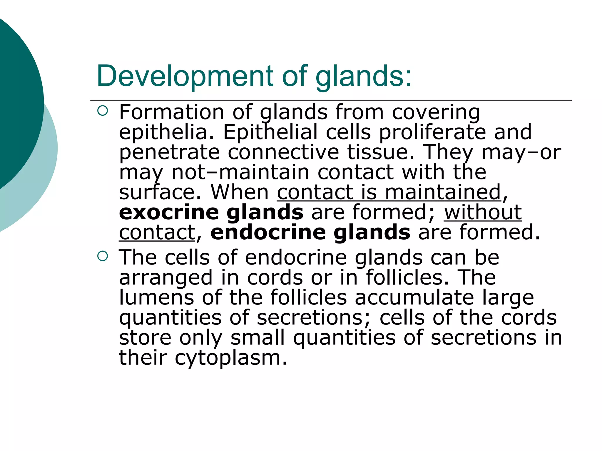 Glands | PPT