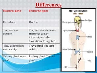 Glands | PPTX