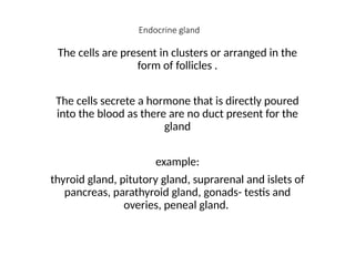 Glands-anatomy for bsc nursing 1st year student | PPTX