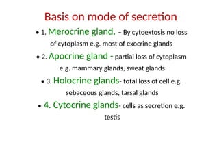 Glands-anatomy for bsc nursing 1st year student | PPTX