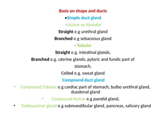 Glands-anatomy for bsc nursing 1st year student | PPTX