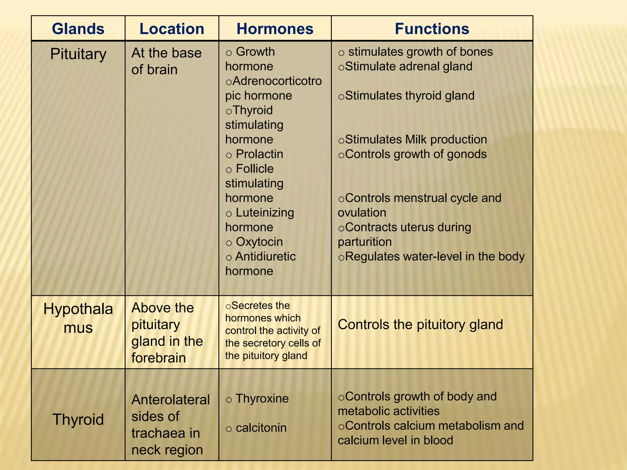 Glands and function | PPTX