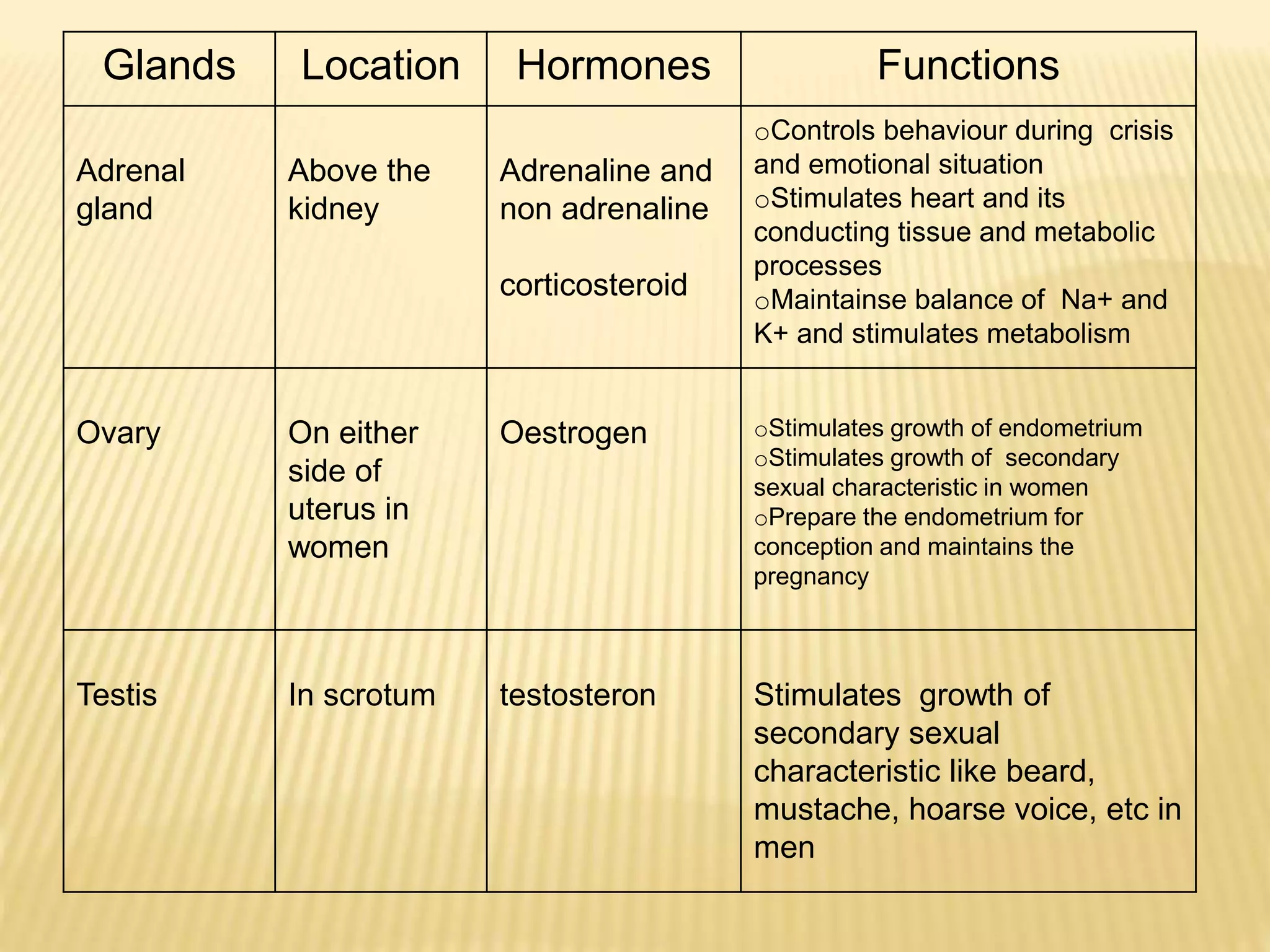 Glands and function | PPTX