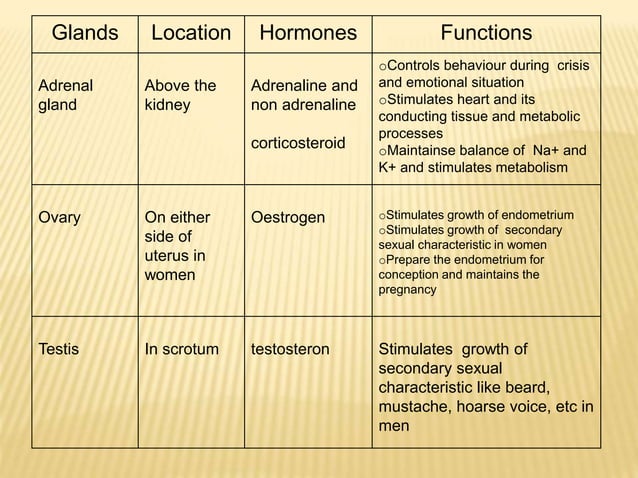 Glands and function | PPTX | Endocrine and Metabolic Diseases ...