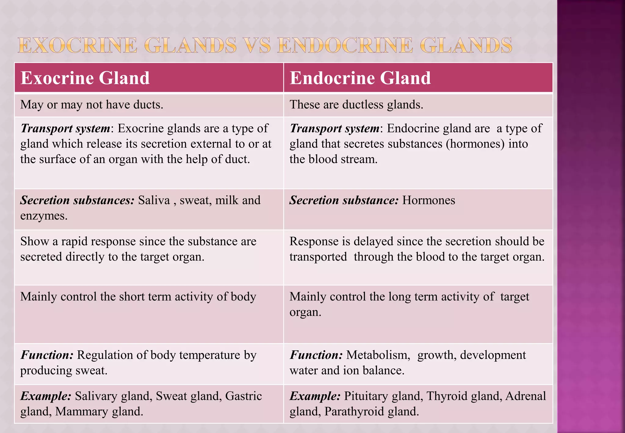 Glands and its types | PPTX