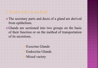 Glands and its types | PPTX