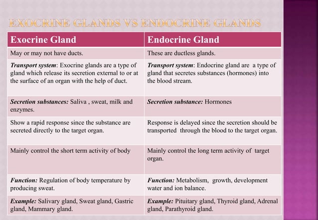 Glands and its types | PPTX | Endocrine and Metabolic Diseases ...