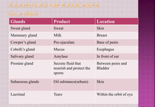 Glands and its types | PPTX