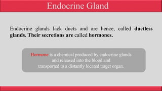 GLANDS and respiratory system.pptx