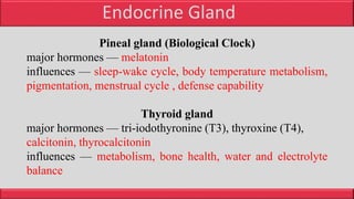 GLANDS and respiratory system.pptx