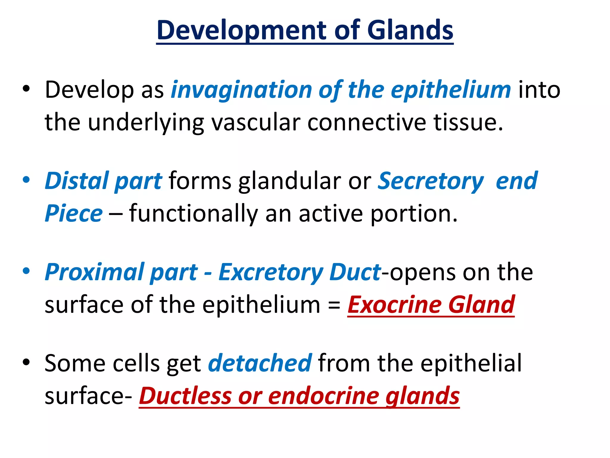 Glands histology | PPTX