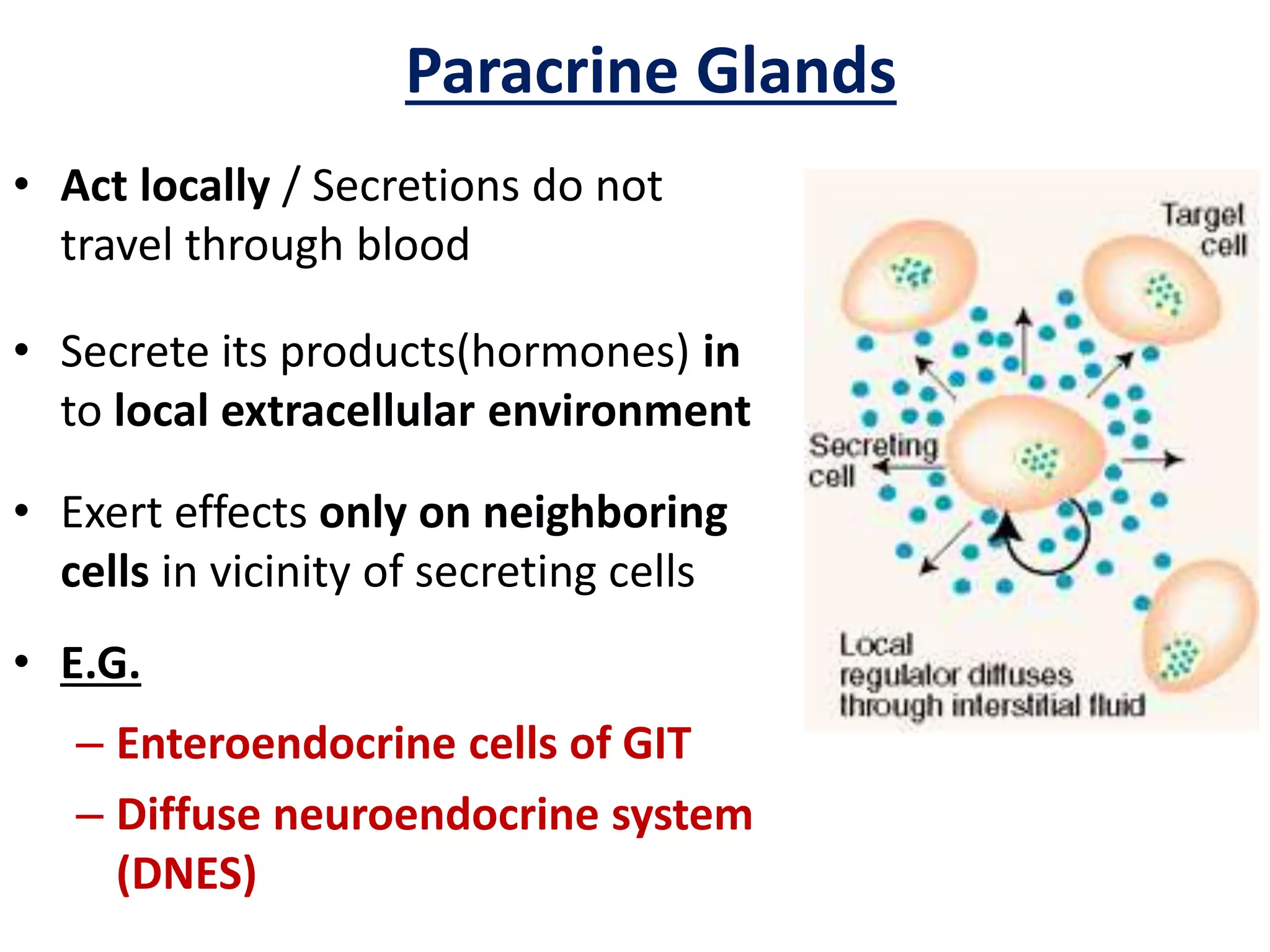 Glands histology | PPTX