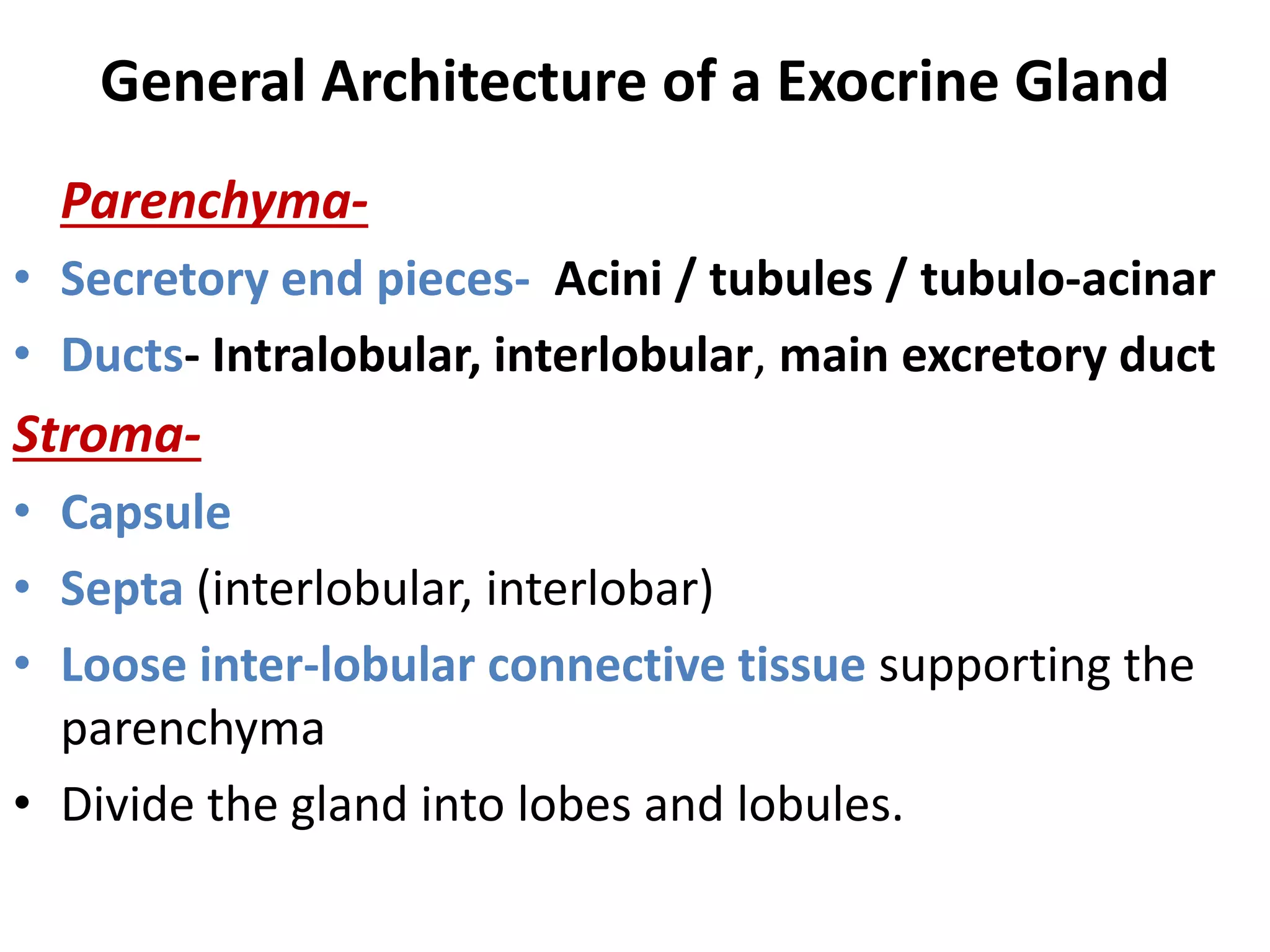 Glands histology | PPTX