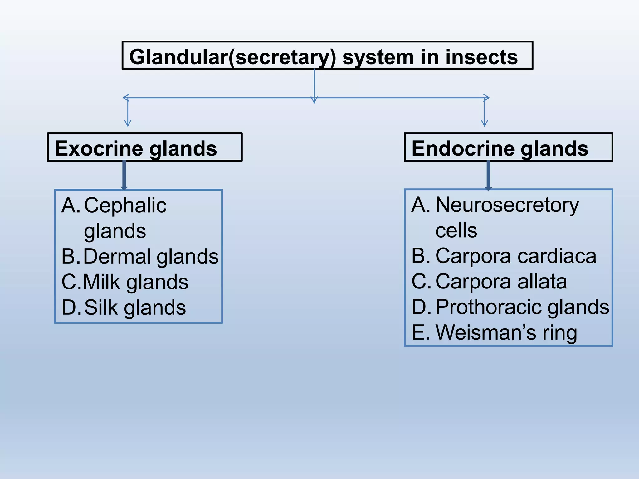 GLANDS in insects.pptx