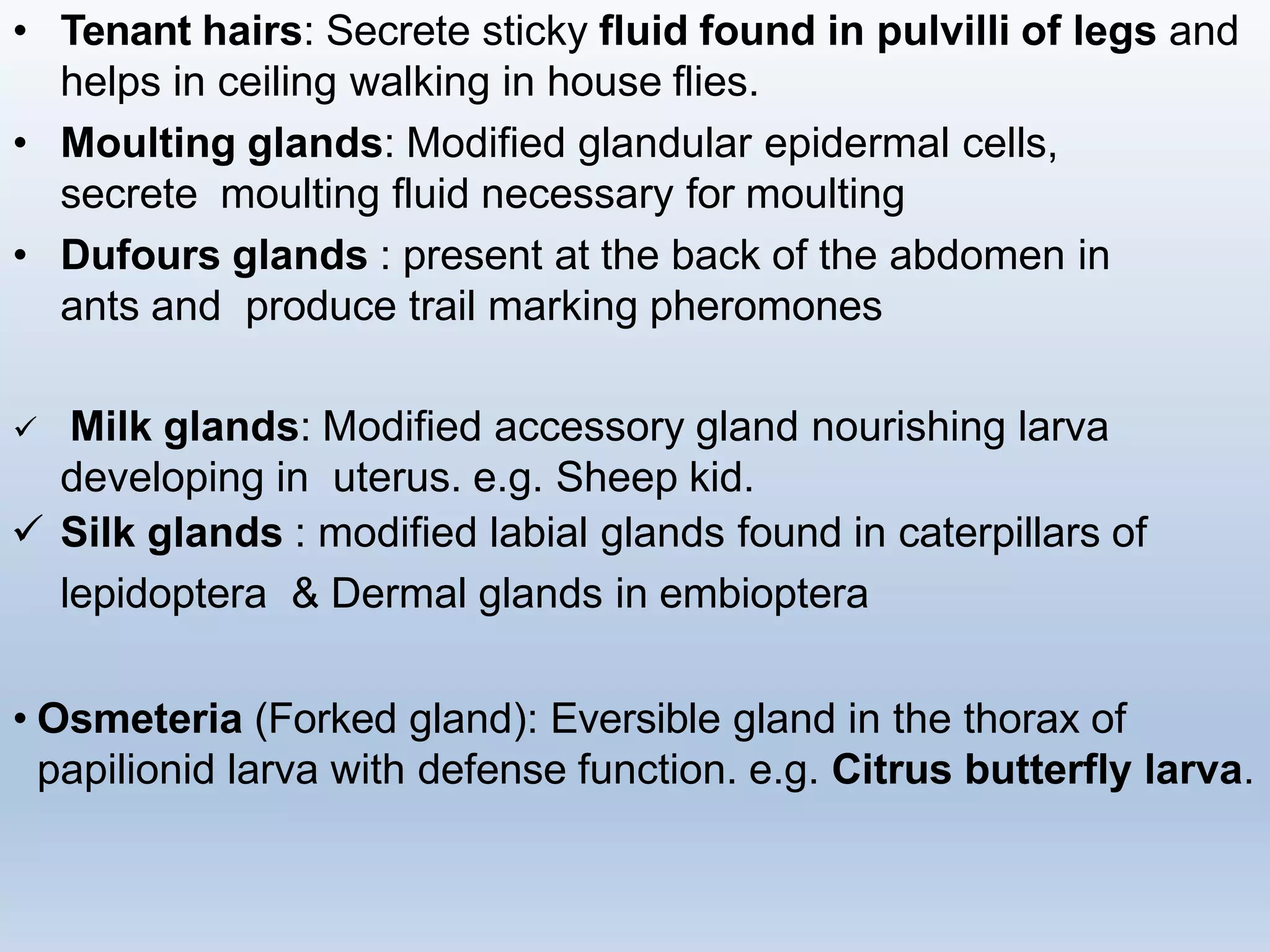 GLANDS in insects.pptx