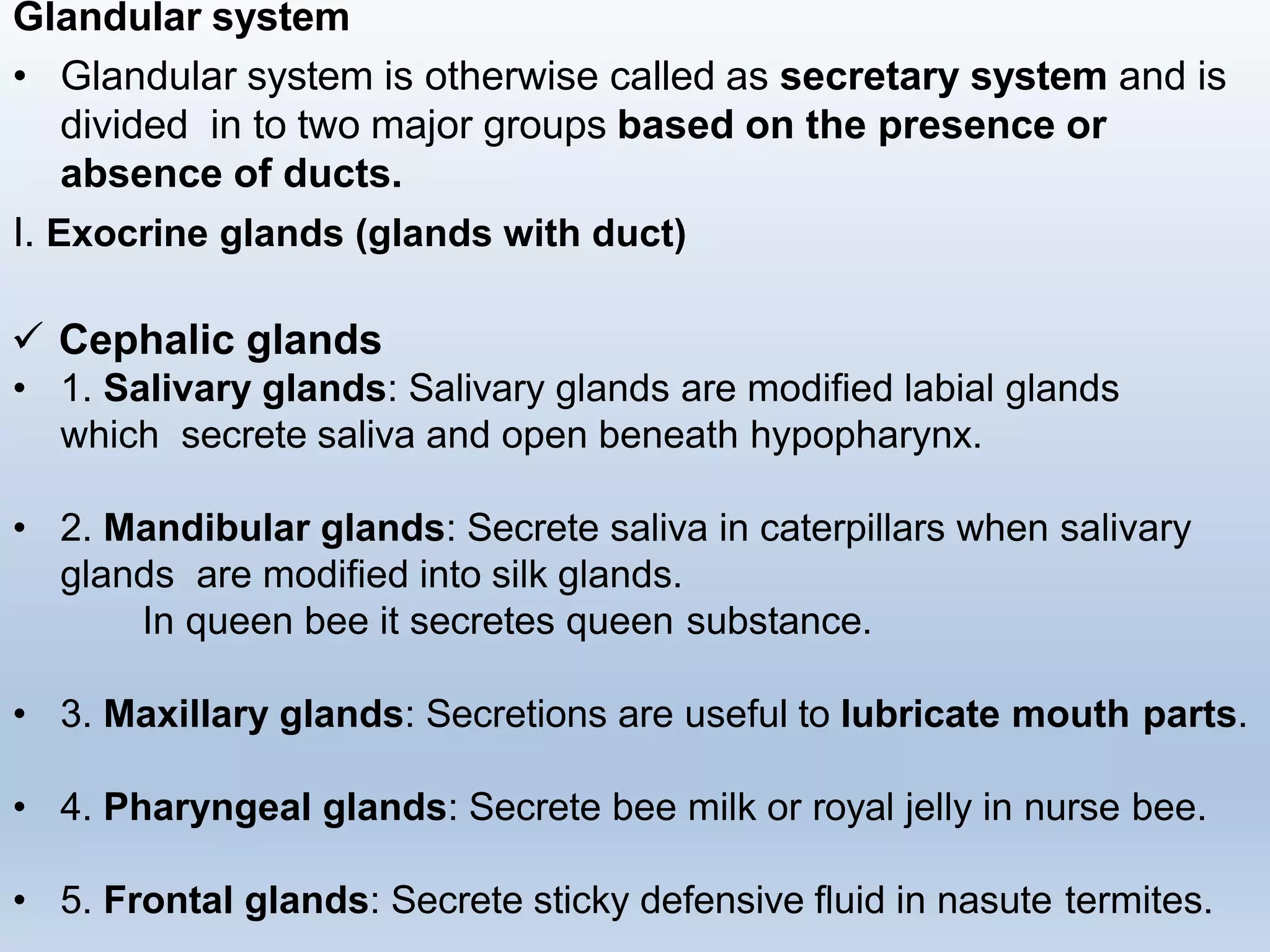 GLANDS in insects.pptx