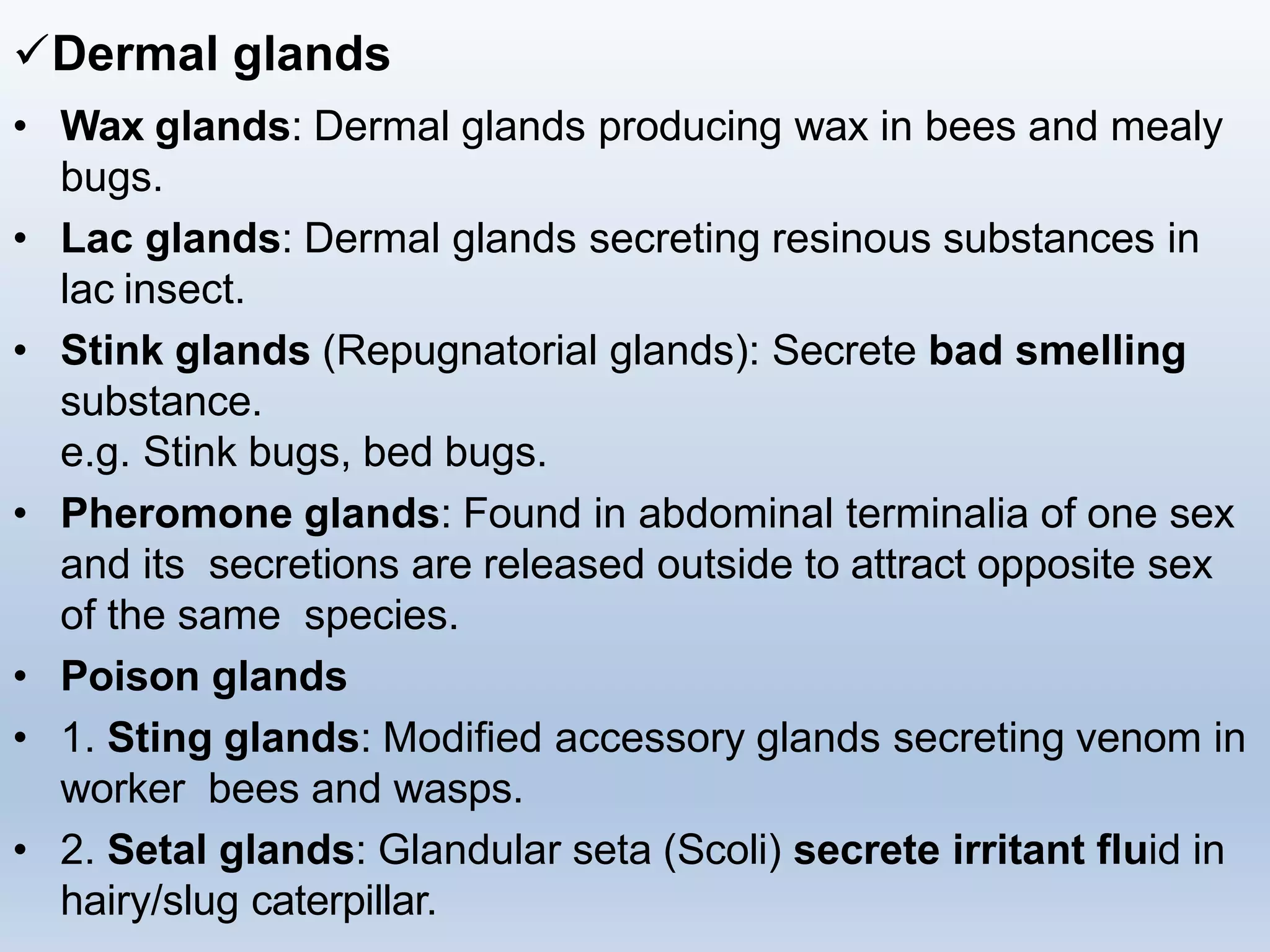 GLANDS in insects.pptx