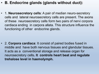 GLANDS in insects.pptx