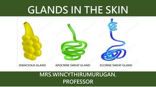 GLANDS IN THE SKIN,FUNCTIONS AND ABNORMALITIES ..pptx