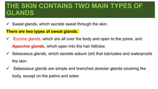 GLANDS IN THE SKIN,FUNCTIONS AND ABNORMALITIES ..pptx
