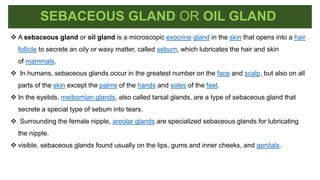 GLANDS IN THE SKIN,FUNCTIONS AND ABNORMALITIES ..pptx