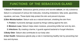 GLANDS IN THE SKIN,FUNCTIONS AND ABNORMALITIES ..pptx