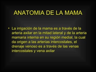 Glandula Mamaria | PPT