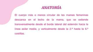 Embriología, anatomía y fisiología de glándula mamaria | PPTX