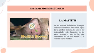 Alteraciones de la Glándula mamaria | PPTX