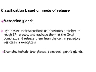 Glandular epithelium.pdf