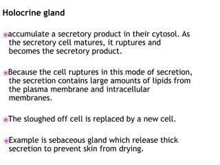 Glandular epithelium.pdf