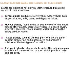 Glandular epithelium.pdf