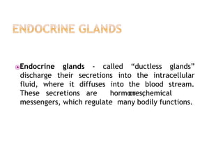 Glandular epithelium.pdf