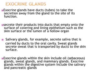 Glandular epithelium.pdf