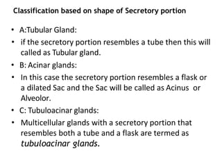Glandular epithelium.pdf