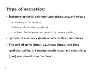 glandular_epithelium_2019_1st_semester.pdf
