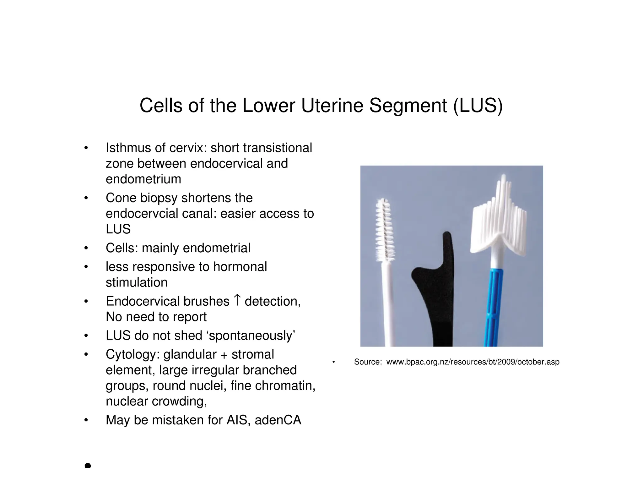 GLANDULAR LESIONS CYTOLOGY IN CERVICAL CYTOLOGY.pdf