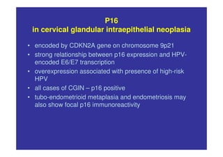 GLANDULAR PATHOLOGY UTERINE CERVIX.pdf